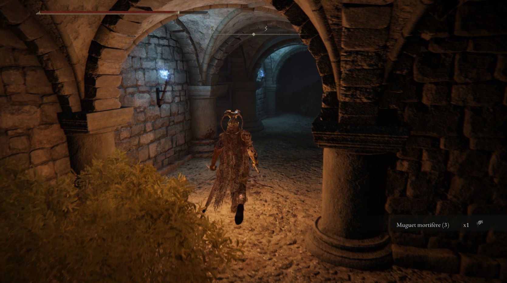 Catacombs at the foot of the Elden Ring Cliff: how to complete this ...