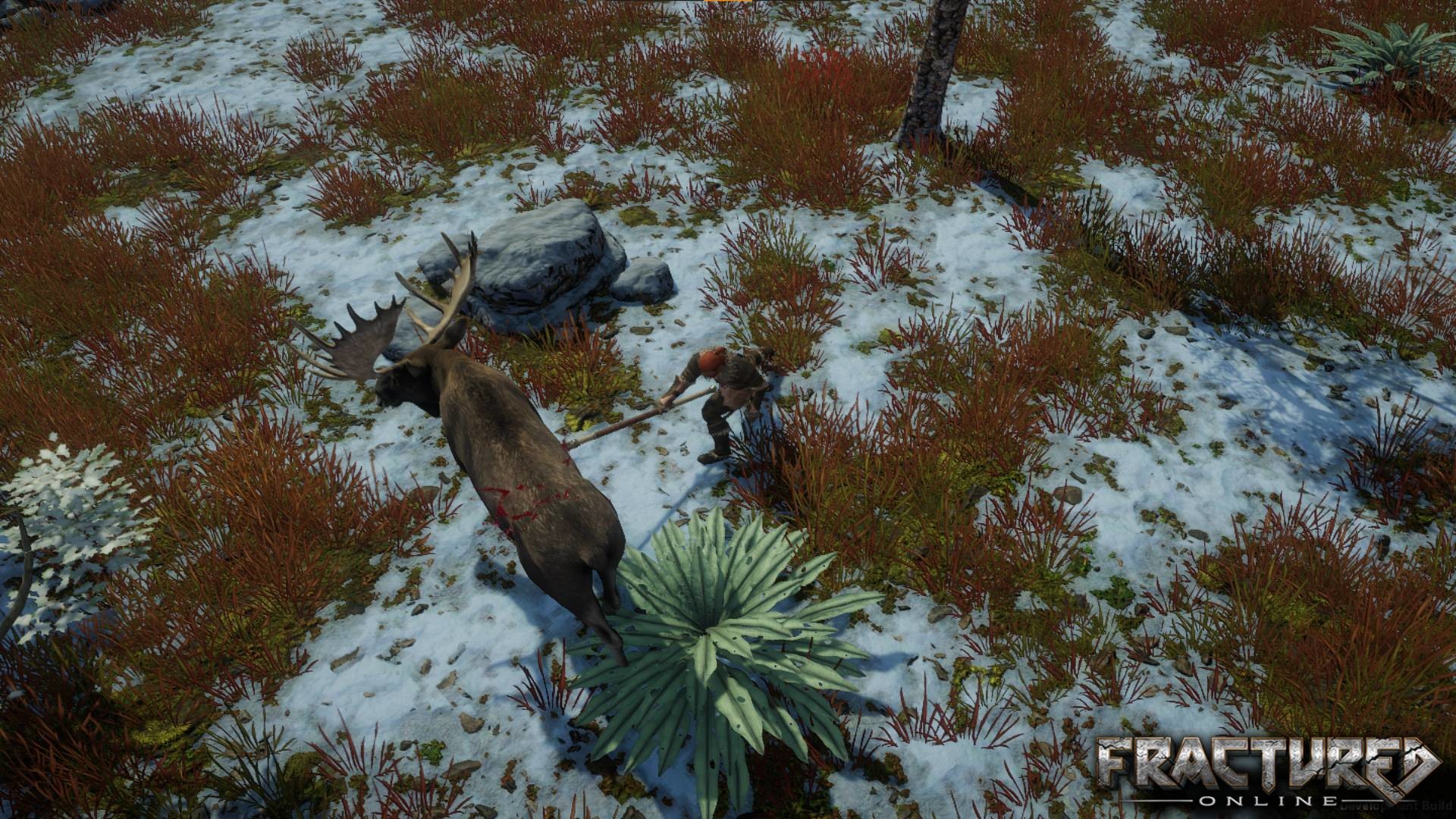 Fractured Online: our 5 tips for thriving in the dynamic MMORPG - Millenium