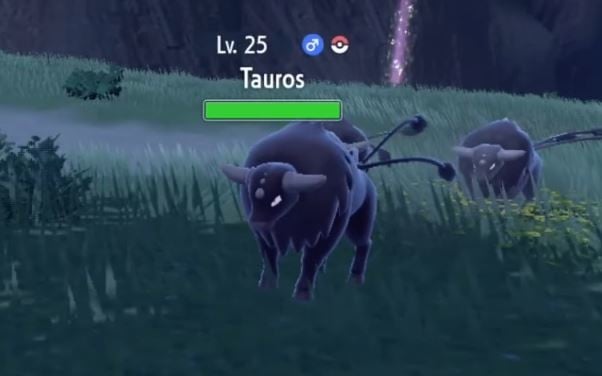 Tauros Pokemon Violet Scarlet: How to get the 3 forms of Paldea? - Millenium