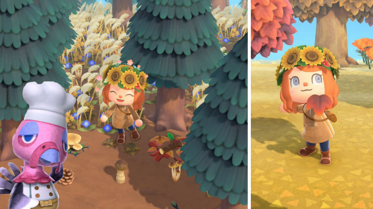 4 things to do in November in Animal Crossing: New Horizons - Millenium