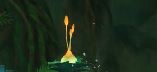 Agnihotra Sutra Genshin Impact: how to complete the quests - Millenium