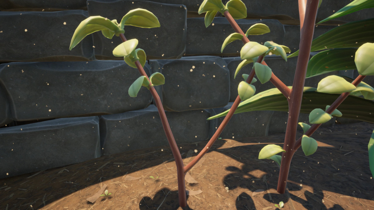 Grounded weed stem: Where to find it and how to cut it? - Millenium