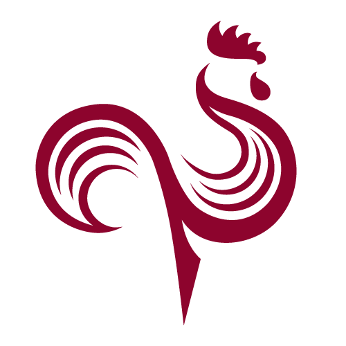 Overwatch League: a Legendary Goat skin for Brigitte available now ...