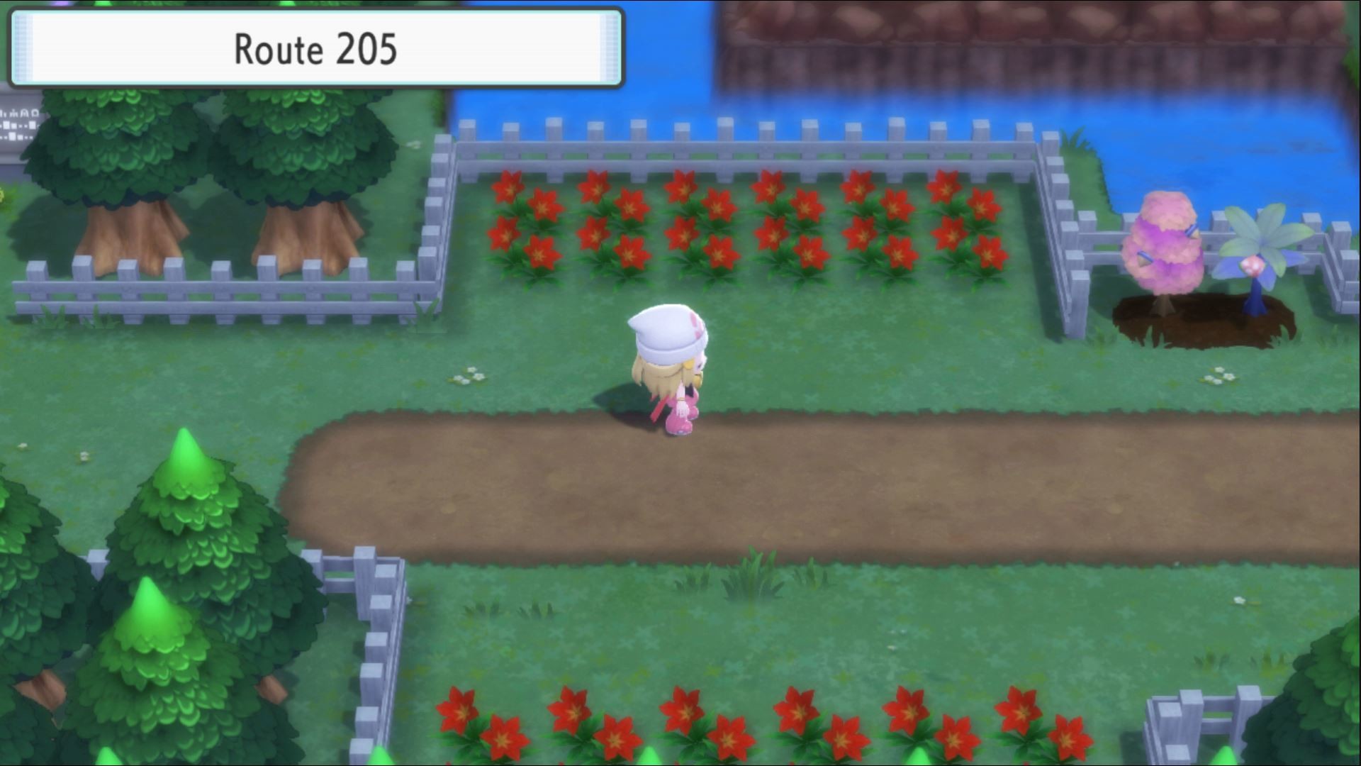 Pokémon Brilliant Diamond & Shining Pearl Walkthrough: 2 - Oreburgh ...