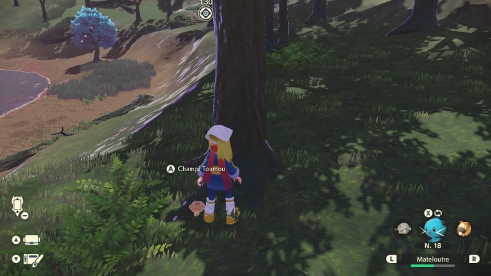 Springy Mushroom Pokémon Legends Arceus: where to find it? - Millenium