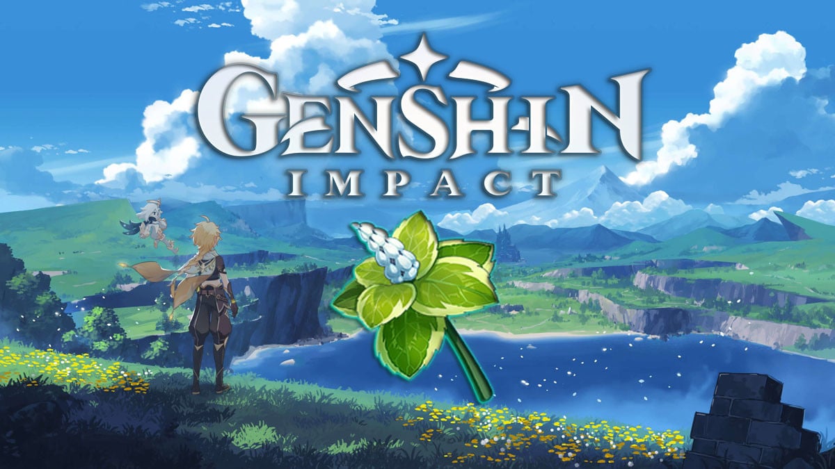 How to farm Mint in Genshin Impact - Millenium