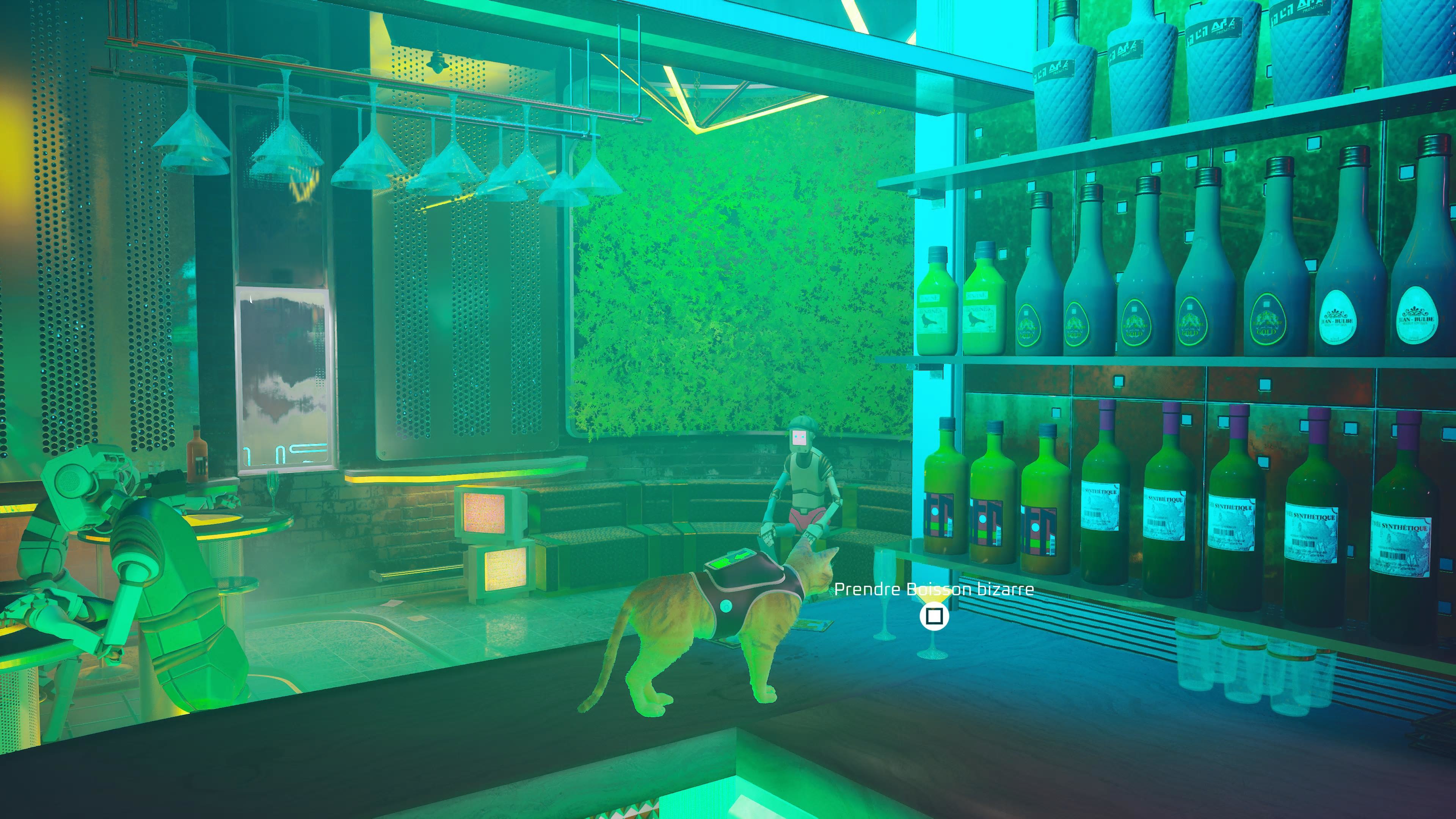 Clementine Stray: where to find her, mysterious message, her quest ...