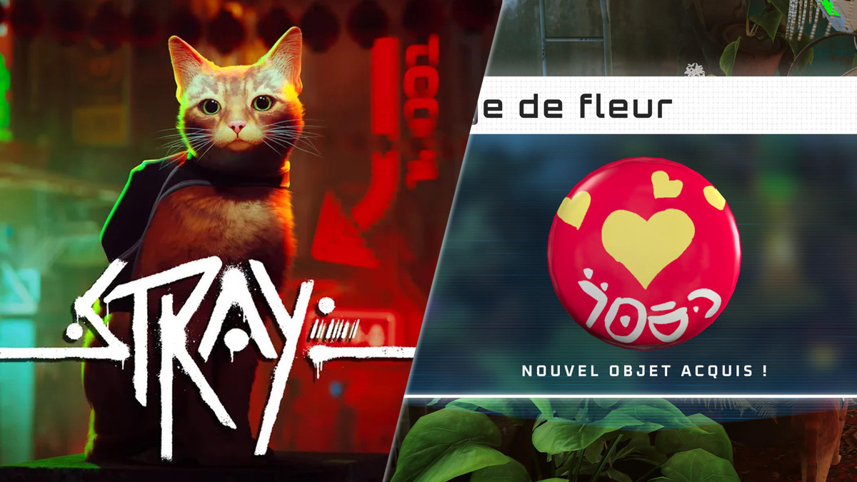 All Stray badges: where and how to find them? - Millenium