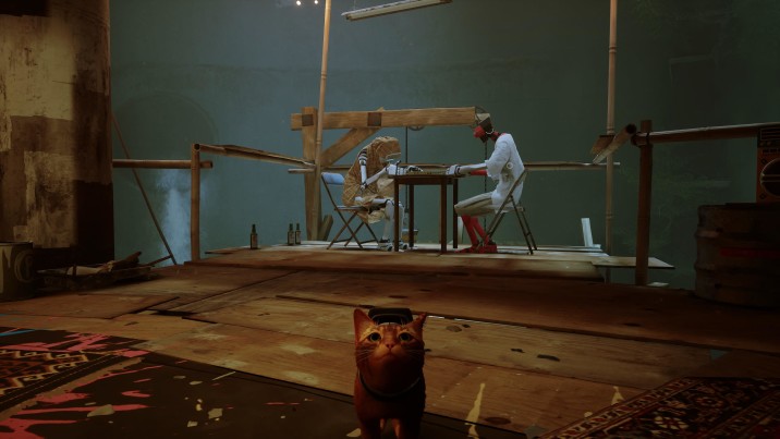 Stray flowers: where to find them all in the Anthill? - Millenium