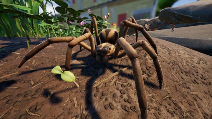 Grounded Wolf Spider: How to beat it? - Millenium