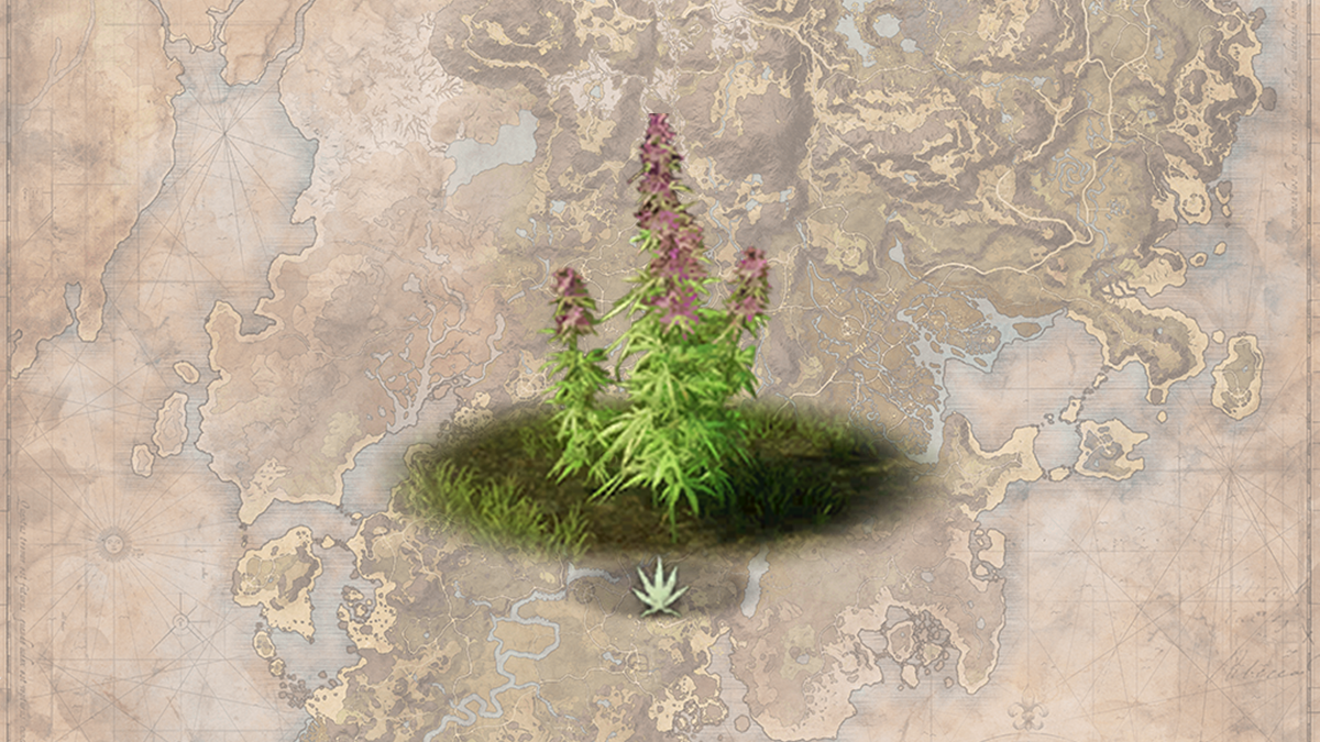 Where to find Hemp for Fibers in New World - Millenium