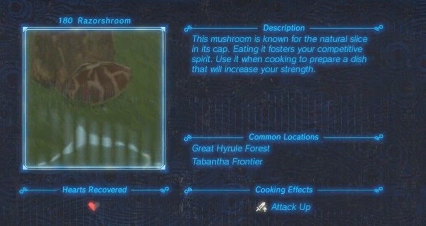 Mushrooms - Zelda BotW, All Materials - Millenium