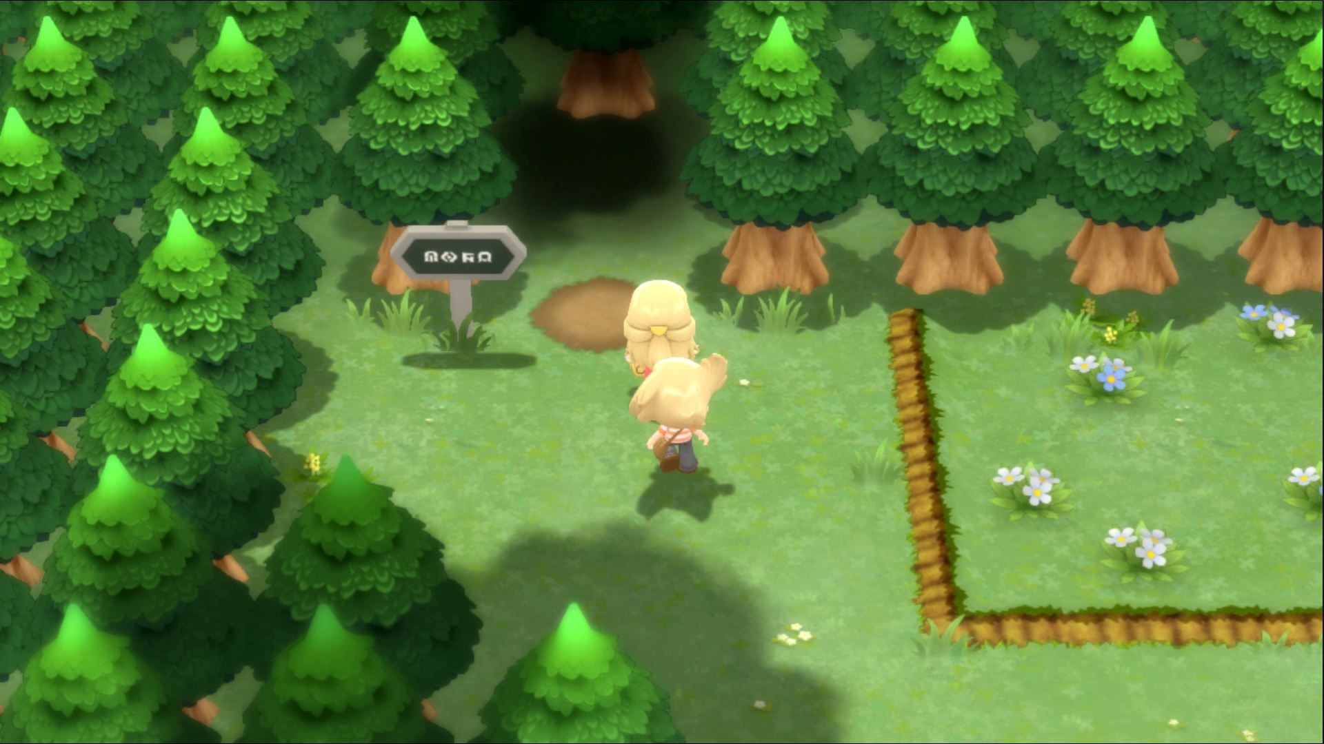 Pokémon Brilliant Diamond & Shining Pearl Walkthrough: 1 - Twinleaf Town to Oreburgh City ...