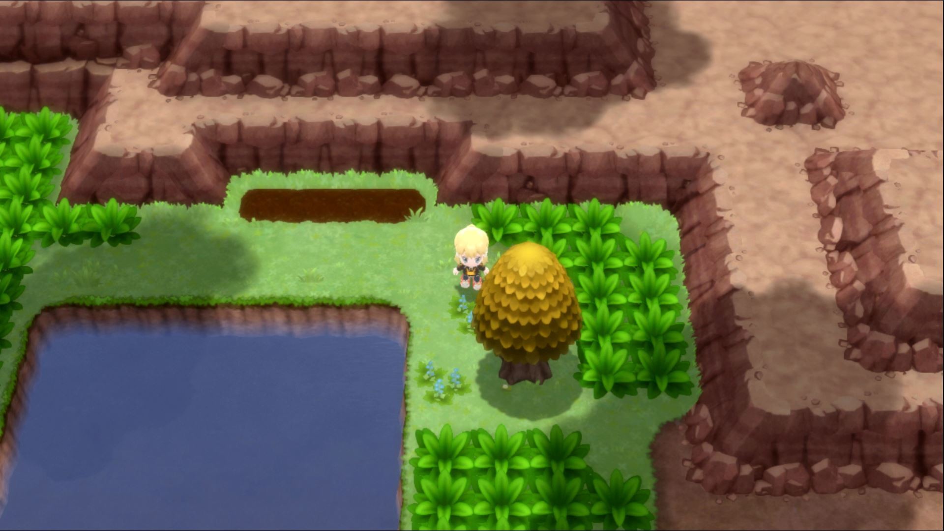 Pokémon Brilliant Diamond & Shining Pearl: Honey Tree Guide - Millenium