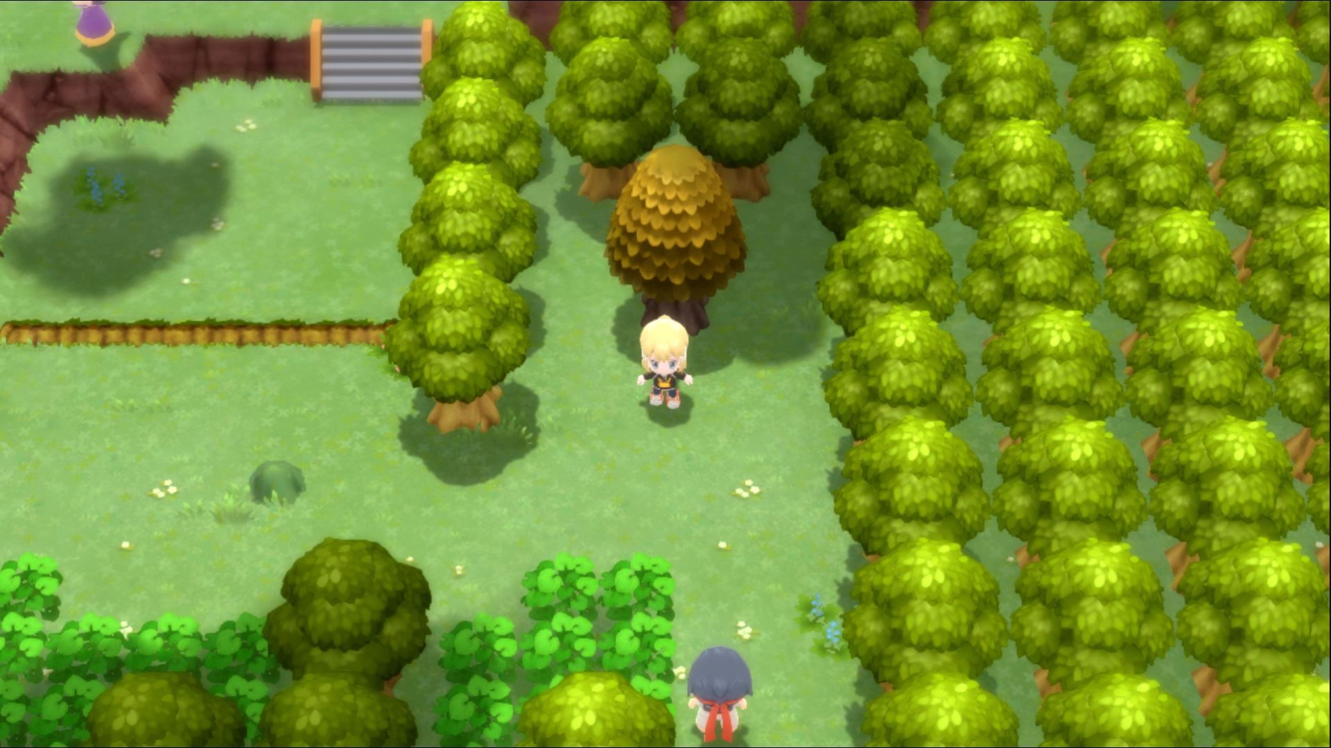 Pokémon Brilliant Diamond & Shining Pearl: Honey Tree Guide - Millenium