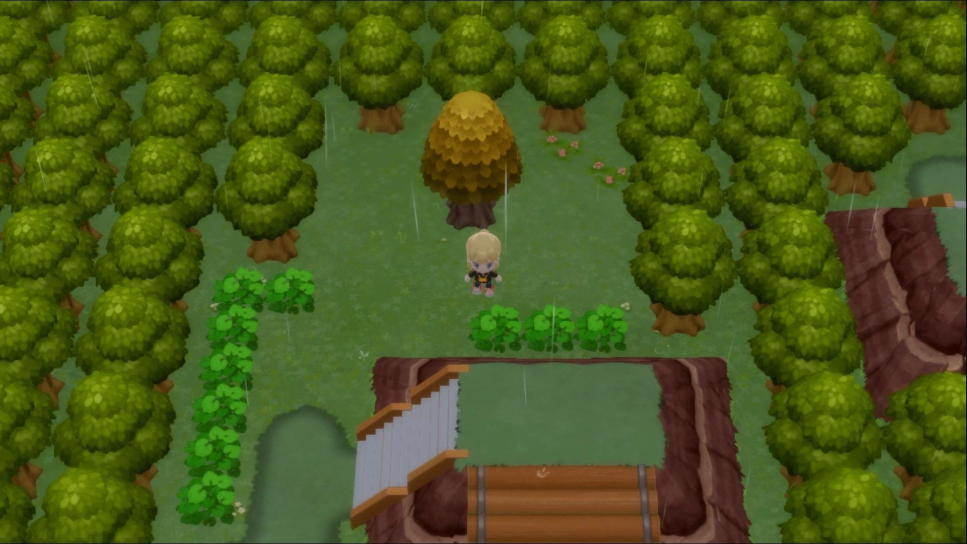 Pokémon Brilliant Diamond & Shining Pearl: Honey Tree Guide - Millenium