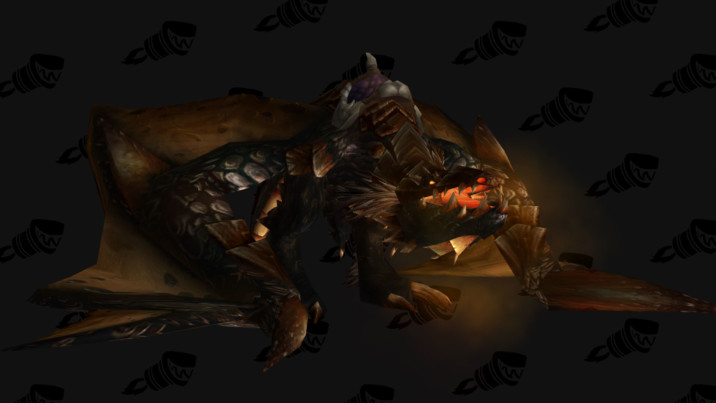 Black proto-drake WoW WotLK: How to get this mount? - Millenium