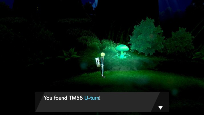 Pokemon Sword, Pokemon Shield: Walkthrough part 12, from Stow-on-Side ...