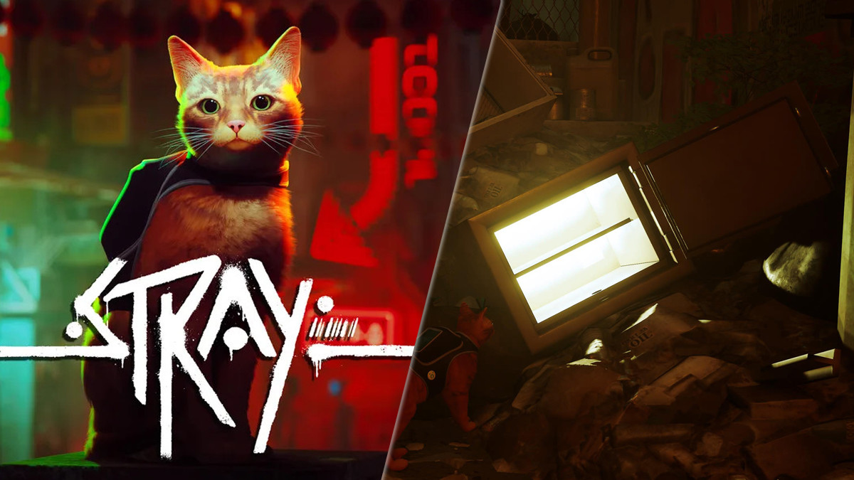 Mysterious code Stray: how to decrypt the safe code? - Millenium