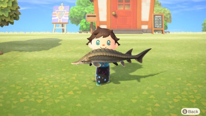 Animal Crossing New Horizons: the rarest and most expensive fish in the ...