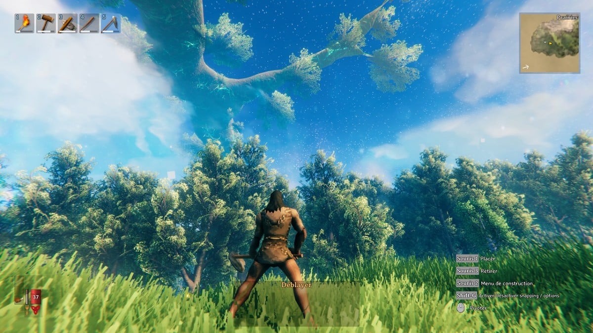 hoe controls valheim