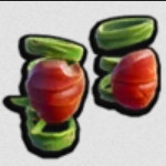 Grounded red anthill: Position and how to enter? - Millenium