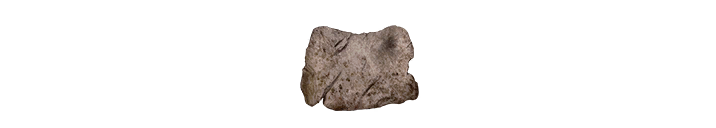 Skinning Knife: New World Gathering Tool Guide - Millenium