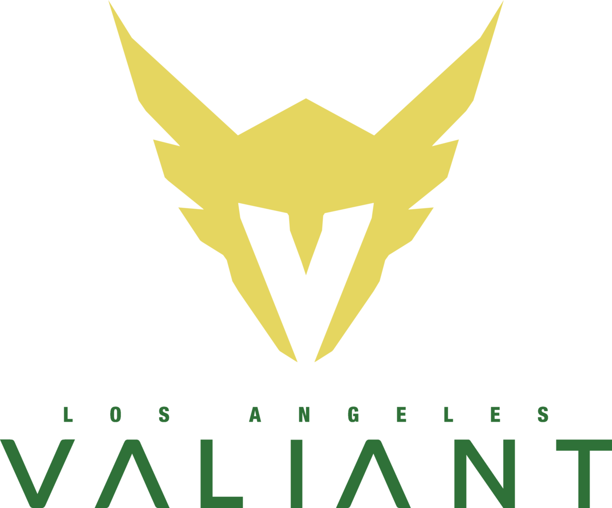 Overwatch League Los Angeles Valiant: roster, logo, composition - Millenium