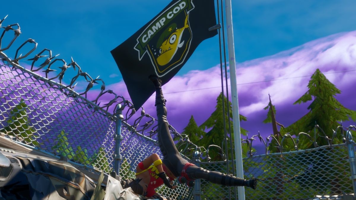 Fortnite Meowscles Mischief: Lake Canoe, Camp Cod, and Rainbow Rentals ...