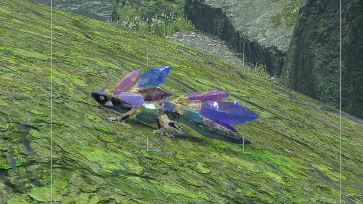 Monster Hunter Rise: Where to find Lizards - Millenium