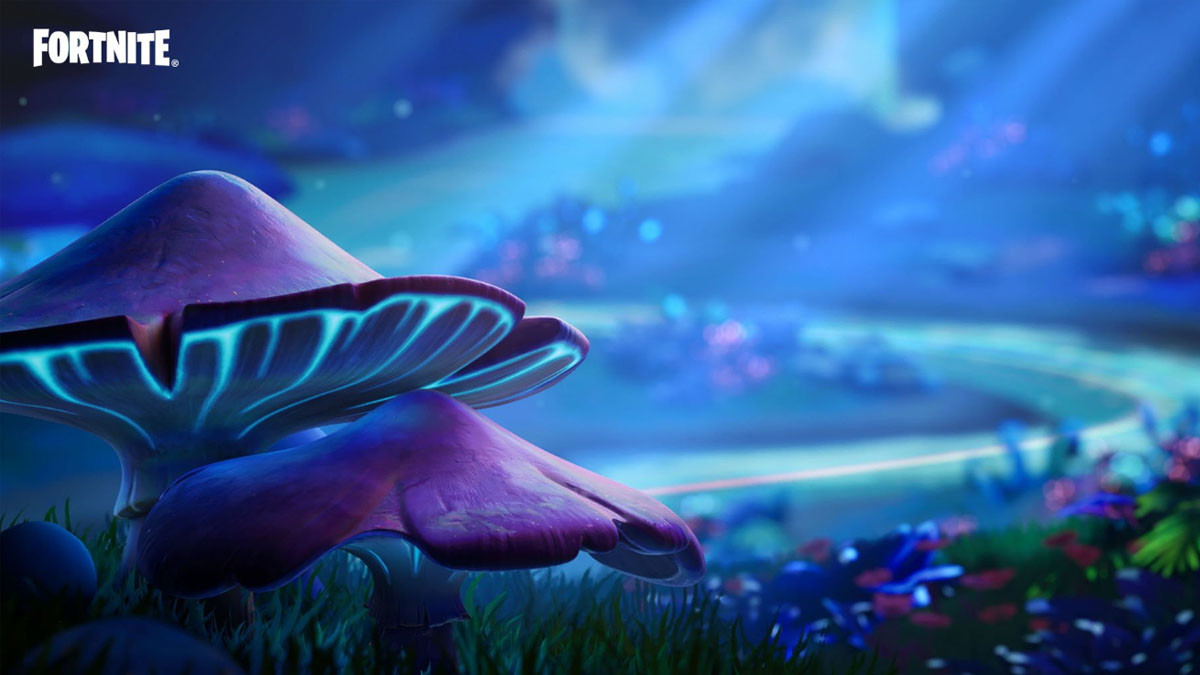 Pull weeds Fortnite: the locations to validate the challenge this ...