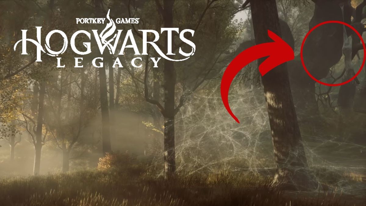 Hogwarts Legacy: A creepy discovery in the latest video! - Millenium