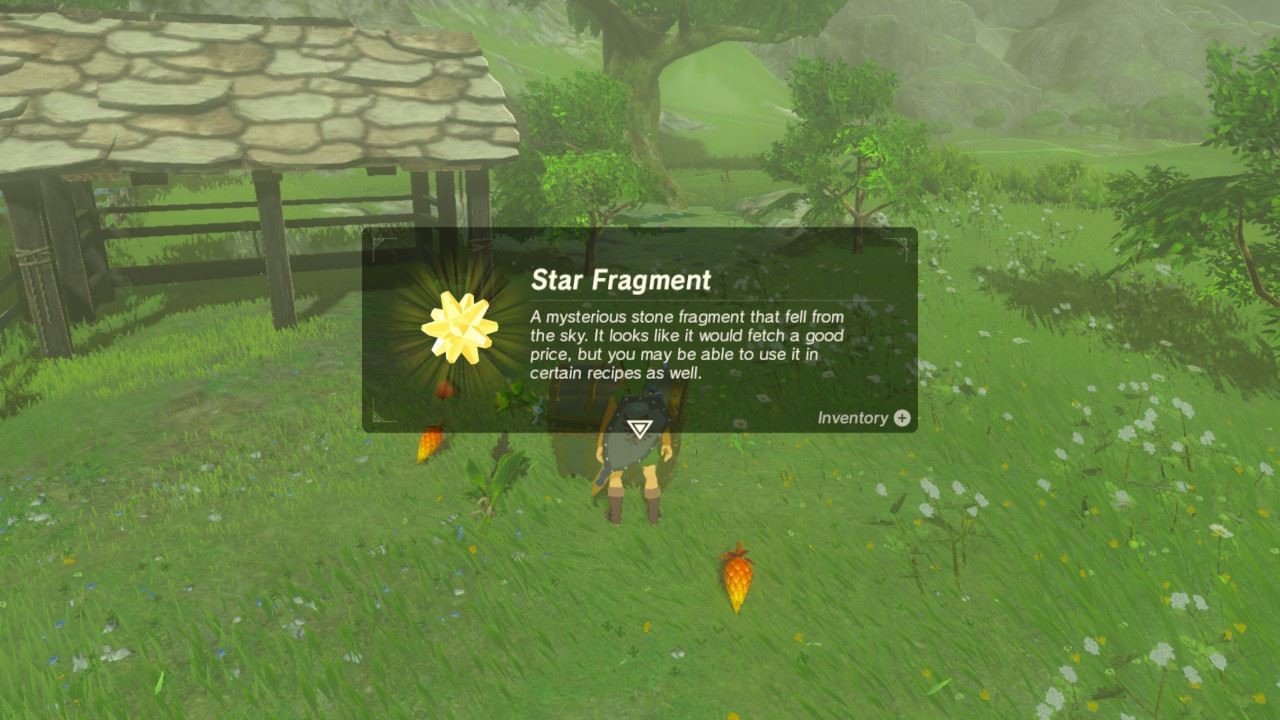 Zelda Breath of the Wild: Ruby Farm - Millenium